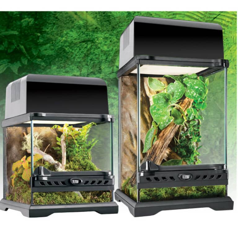 Kompetenzzentrum für Terraristik